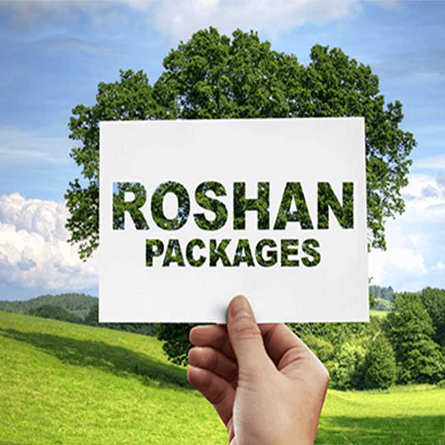 Corporate Social Responsibility – Roshan Packages Limited